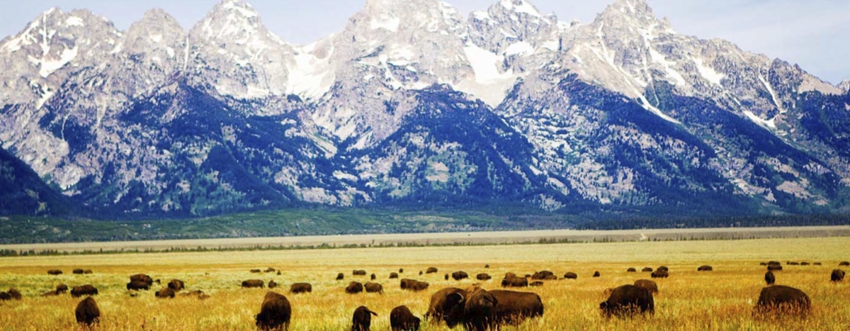 Wyoming Dude Ranchers' Association | Dude Ranch Vacations in Wyoming ...