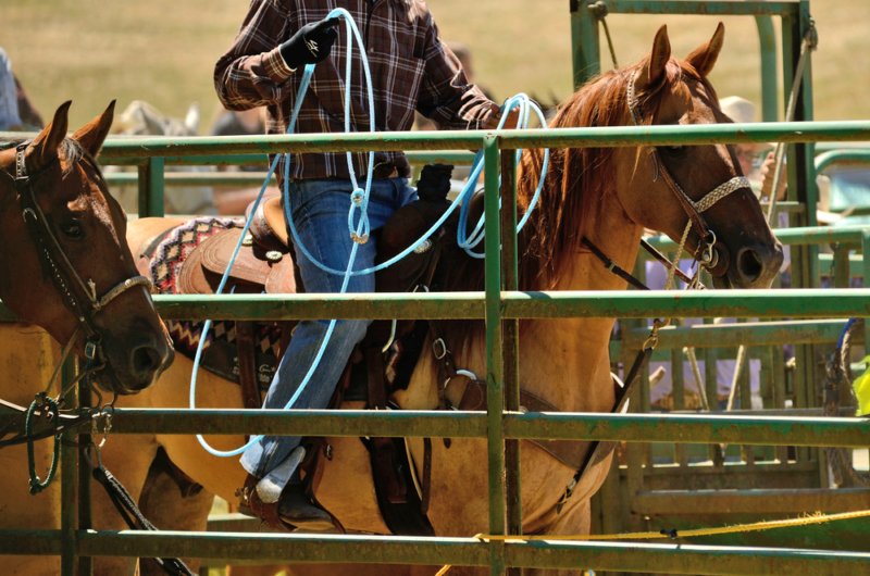 Wyoming Dude Ranch Employment Opportunities - Wyoming Dude Ranch ...